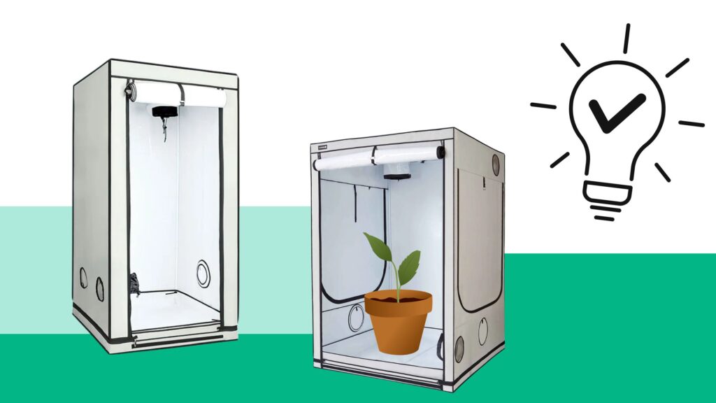 Set up your grow box properly: A step-by-step guide for beginners