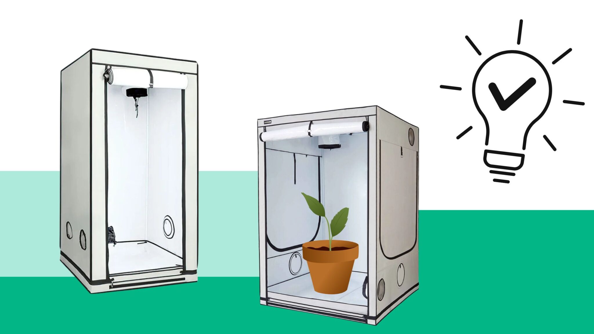 Set up your grow box properly: A step-by-step guide for beginners