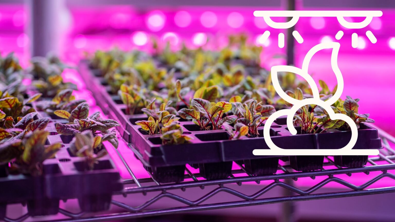 Find the best grow equipment: a guide for home growers