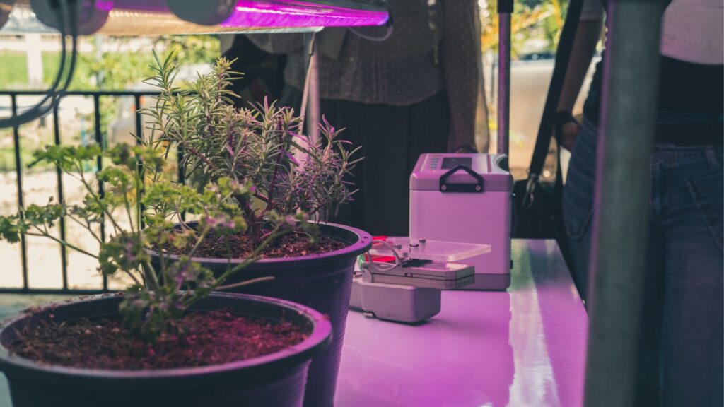 Optimale Belüftung und Klimakontrolle für maximales Wachstum in der Growbox